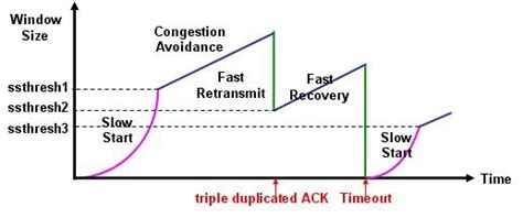 tcp congestion control algorithm coddicted