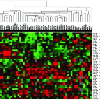 Unsupervised Hierarchical Clustering Of Paired Core Biopsy And Surgical