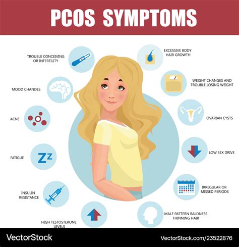Pcos Symptoms Infographic Detailed Infographic Vector Image