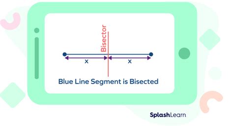 bisect meaning formula examples facts
