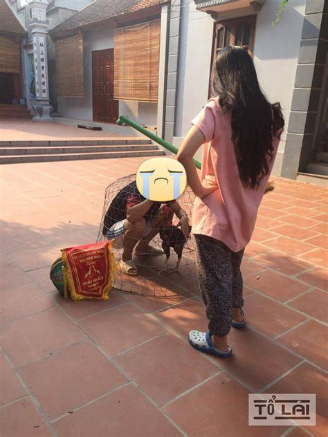 Trốn đi đá gà ông chồng bị vợ nhốt vào chuồng gà rồi đánh không thiếu