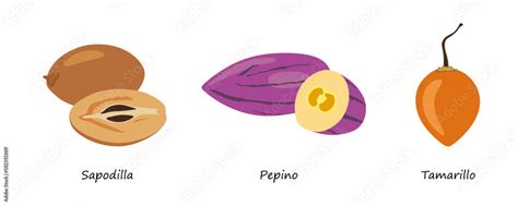 Set Of Fruits In Flat Style Illustration Healthy Fruits Collection