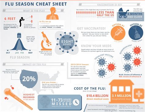 Flu Season Cheat Sheet Good Foods To Eat Healthy Foods To Eat What Is