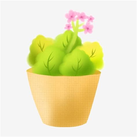 Plantas En Macetas De Primavera Plantas En Macetas Verdes Plantas En