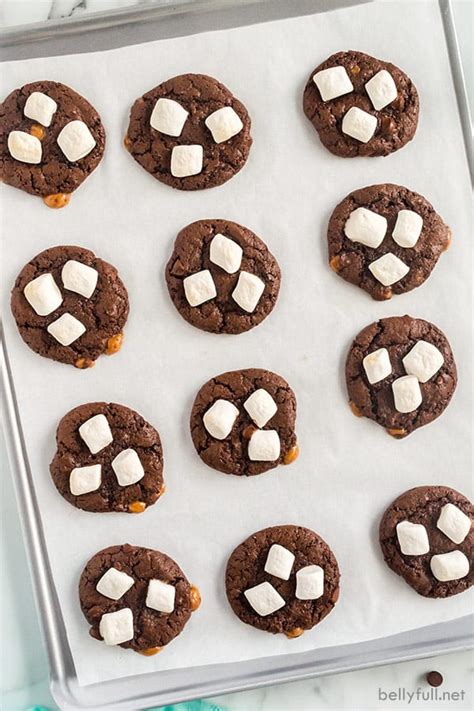 Flourless Hot Cocoa Cookies Belly Full