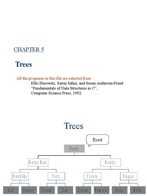 trees all the programs in this file are selected from pdf information retrieval