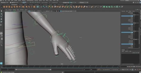 Rig You D Character And Animate D Character Rigging In Blender Or
