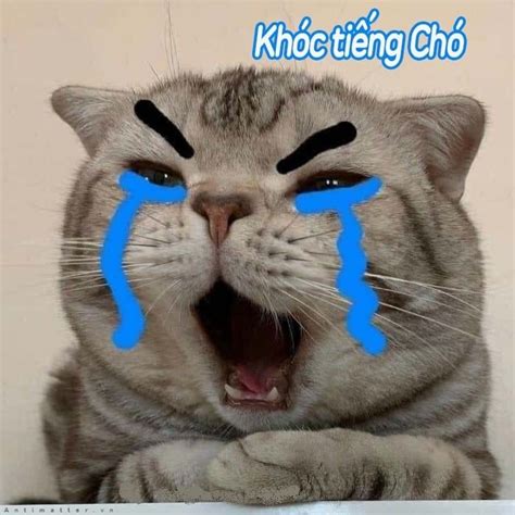 Chia S Nh M O H I H C P Nh T Sai Gon English Center