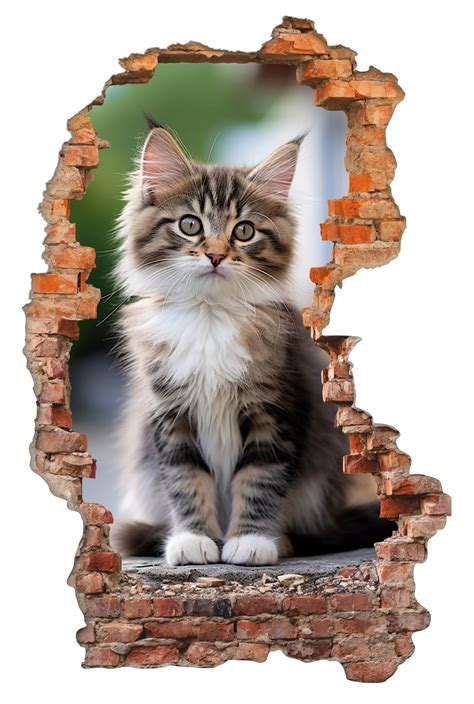 Naklejka na ścianę dziura 3d kot koty kotek samoprzylepna fototapeta