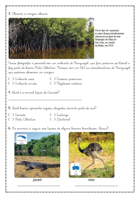 3º ANO ATIVIDADES DE REVISÃO GEOGRAFIA Cuca Super legal
