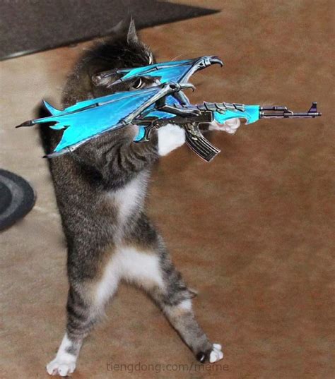 Tải meme con mèo cầm AK rồng xanh nhắm bắn Kittens cutest Kittens