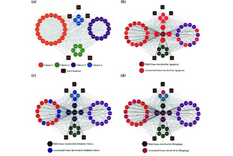 gene interaction network analysis a mcode clustering analysis of 49 download scientific