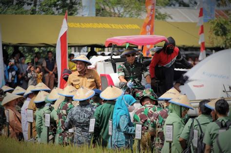 Didampingi Bupati Maros Pangdam XIV Hasanuddin Gelar Panen Raya Padi