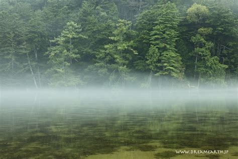 Dream Earth