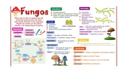 Mapa mental Fungos Baixe grátis o mapa mental em PDF Mapa mental