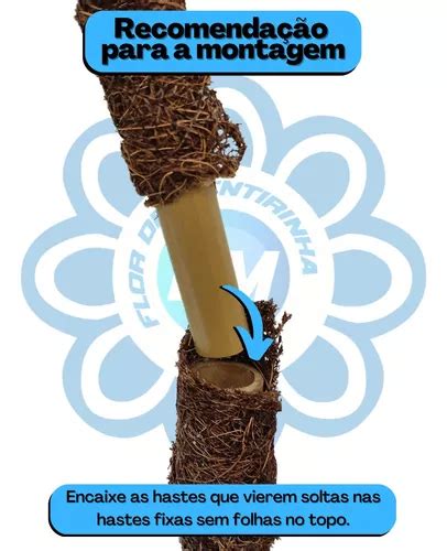 Coqueiro Palmeira Leque Areca Rafia Artificial Vaso Fibra à venda em