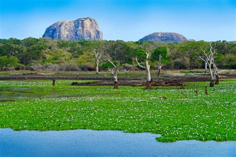 Get Beautiful Places In Sri Lanka Essay Images Backpacker News