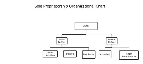 Sole Proprietorship Organizational Chart EdrawMax Templates