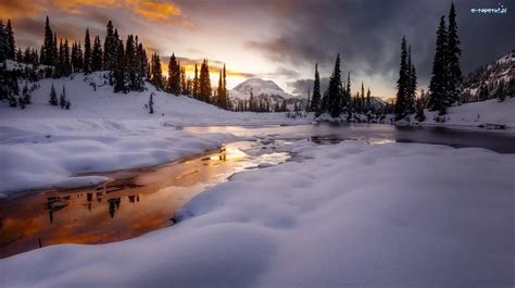 Park Narodowy Mount Rainier Śnieg Stany Zjednoczone Zachód słońca