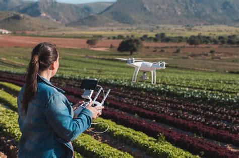 O que é agricultura de precisão Entenda os conceitos Drone Certo