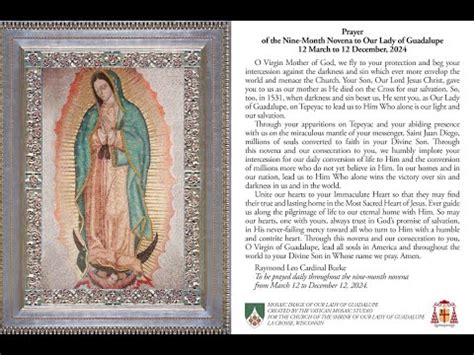 Cardinal Burke Day 8 Of Nine Month Novena To Our Lady Of Guadalupe With