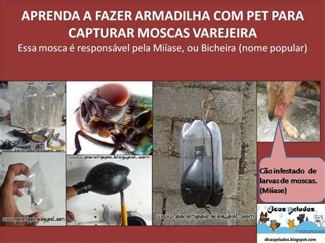 APRENDA A FAZER ARMADILHA PET PARA CAPTURAR MOSCAS VAREJEIRA