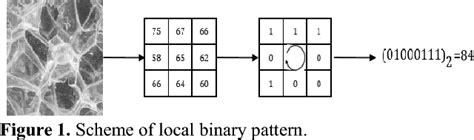 figure 1 from classification of textures using filter based local feature extraction semantic