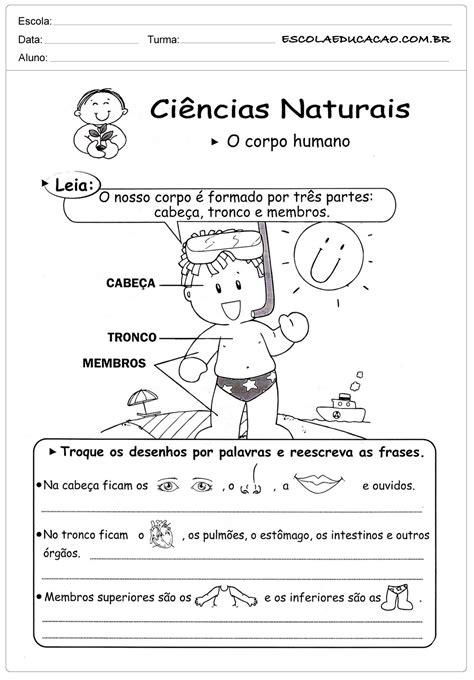 Atividades de ciência naturais Escola Educação