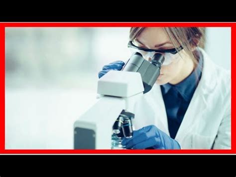 Découverte de l interstitium un possible nouvel organe du corps humain