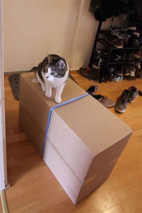 Por Qu En Finlandia Los Beb S Duermen En Cajas De Cart N Muhimu Es