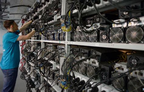Bitharvest Odyssey Nurturing Digital Gold In The Mining Farm