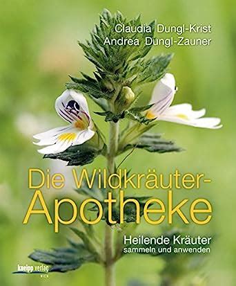 Wildkräuter Apotheke Heilende Kräuter sammeln und anwenden