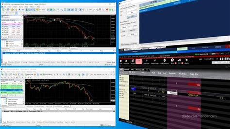Funciona MetaTrader con Interactive Brokers Descubra cómo conectar su