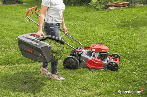 Kosiarka spalinowa z napędem AL KO Comfort 51 0 SP A Tajęcina