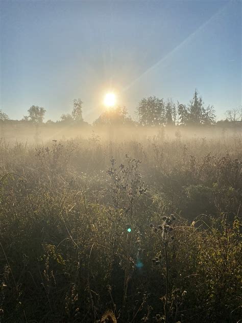 Sol Natureza Paisagem Nascer Do Foto Gratuita No Pixabay Pixabay