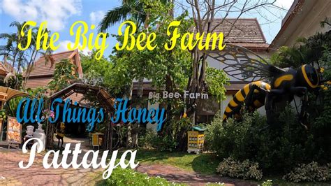 Pattaya Thailand All Things Honey The Big Bee Farm March 2023 YouTube