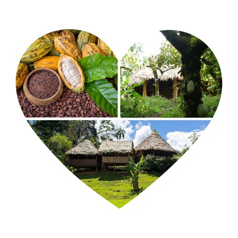 Talamanca Indigenous Sustainable Tourism In Costa RicaTurismo