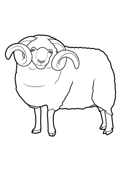 Sélection de coloriage mouton à imprimer sur LaGuerche Page 2