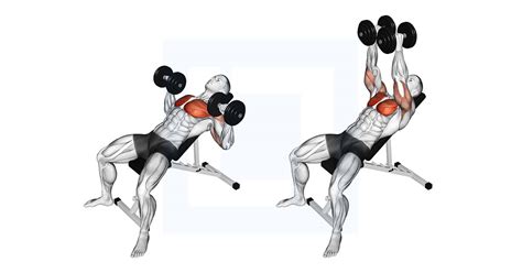 Dumbbell Incline Twist Press Guide Benefits And Form