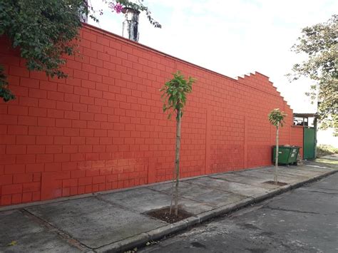 Sedema realiza plantios em calçadas no Nova Piracicaba Portal do