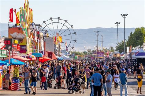 Av Fair Poppy Festival 2024 Dasya Emogene