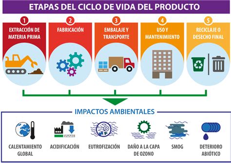 Etapas Del Ciclo De Vida Del Producto Fuente Https Acortar Link