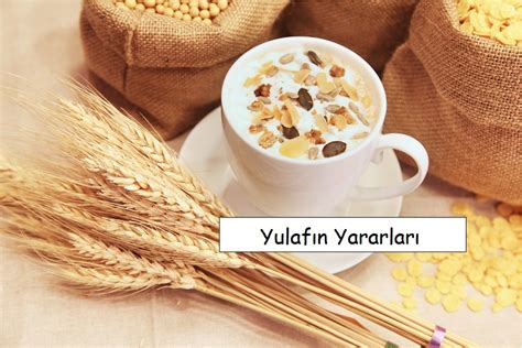 Yulafın Yararları Nelerdir Gelecekten Net