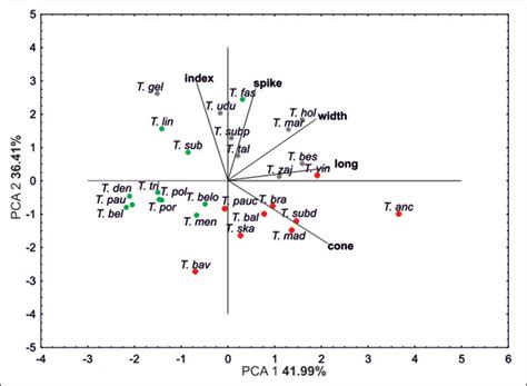 principal component analysis pca based on five morphological traits download scientific diagram