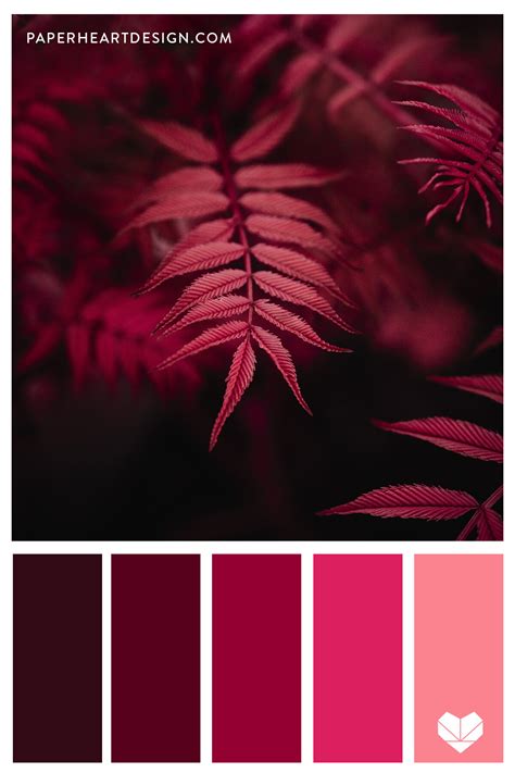 Color Palette Pretty In Pink Paper Heart Design