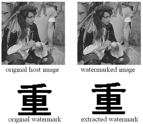 digital image watermarking based on mixed error correcting code