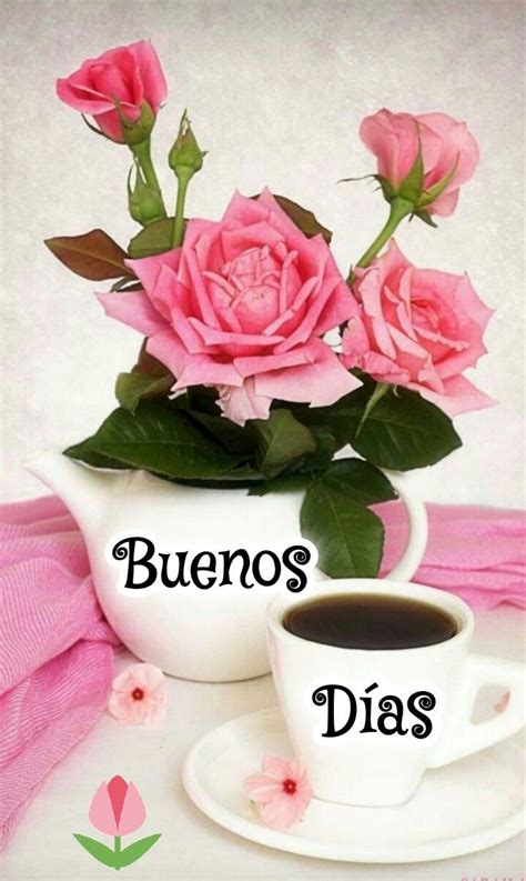 Pin by Jess Mor on Imágenes Good morning flowers pictures Good