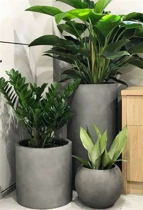 Blog Plaenge Tipos De Vasos De Plantas Para Usar Em Cada Ambiente