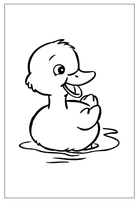 Desenhos De Pato Para Colorir E Pintar Tudo Para Colorir