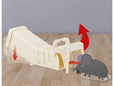 Piege Souris Fait Maison Ventana Blog